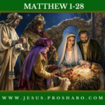 BOOK OF MATTHEW EXPLAINED | JESUS IS LORD